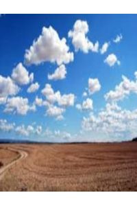 Paxton Wade Hale Obituary in Jackson at Westhaven Memorial Funeral Home ...