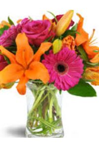 Alfreda Webb Obituary in Jackson at Westhaven Memorial Funeral Home ...