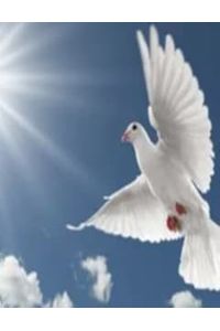 Jay James May Obituary in Jackson at Westhaven Memorial Funeral Home ...
