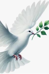 Mary Jane Lunsford Obituary in Durham at Holloway Memorial Funeral Home ...