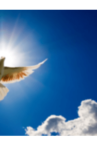 Michael Whitted Obituary in Durham at Holloway Memorial Funeral Home ...