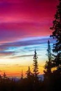 Janice Gail Goins Obituary in Redford Township at Fisher Funeral Home ...