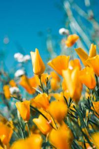 Maurice Perdue Obituary in Redford Township at Fisher Funeral Home | Obit