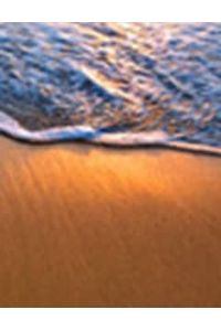 Rose M. Sotelo Obituary in Redford Township at Fisher Funeral Home | Obit