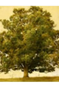 Walter D. Pugh Obituary in Redford Township at Fisher Funeral Home | Obit