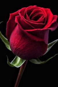 Evelyn Jenkins Dievert Obituary in Tchula at Lakefront Memorial Funeral ...