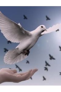 Steven Tyner, Jr. Obituary in Decatur at Donald Trimble Mortuary, Inc ...