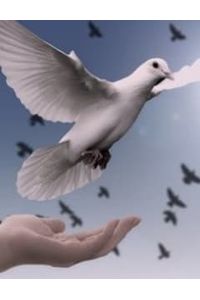 Ronnie Edward Mattocks Obituary in Decatur at Donald Trimble Mortuary ...