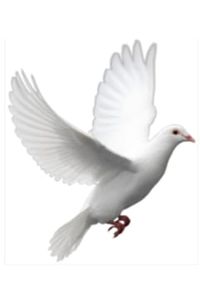 Josiah Russell Obituary in Greensboro at Woodard Funeral Home | Obit