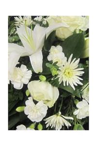 Premo Masullo Obituary in Pittsburgh at John F. Slater Funeral Home ...