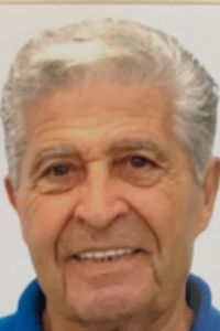 Peter V. Guinta Obituary in Staten Island at Hanley Funeral Home | Obit