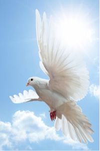 Baby Ra-Naiah Mcpherson Obituary in East Point at Gus Thornhill's ...