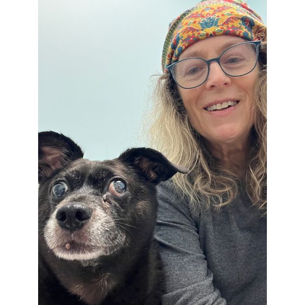 Manny Hanna Obituary in Decatur at PAWS, WHISKERS & WAGS