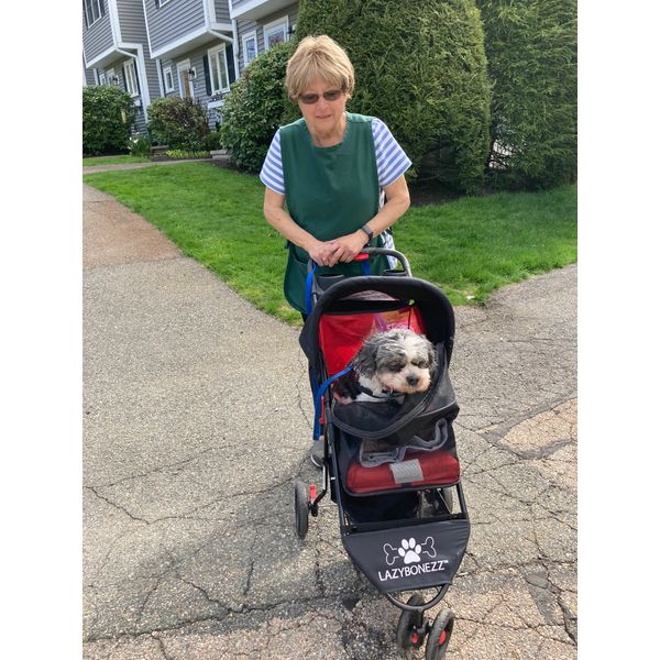 Kathryn V. Green Obituary in Rockland at Magoun-Biggins | Obit – Magoun ...